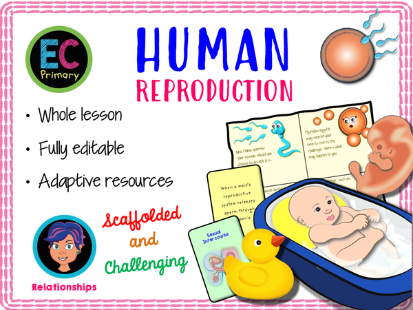Year 6 - Human Reproduction - Sex and Genitalia – EC Publishing