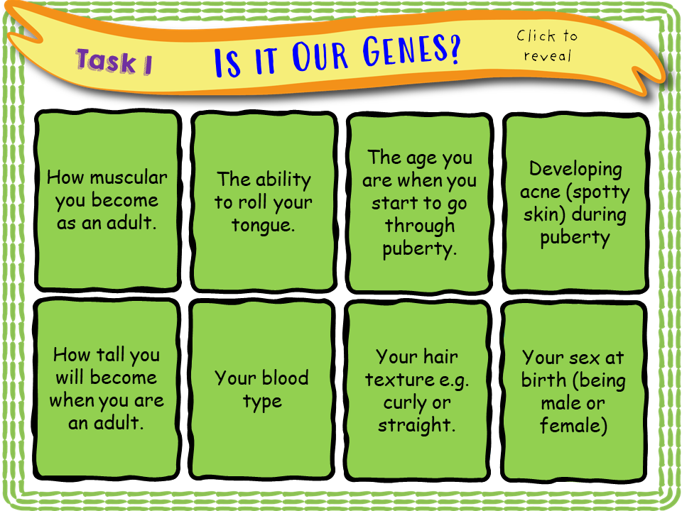 Year 6 - Puberty and Our Genes – EC Publishing