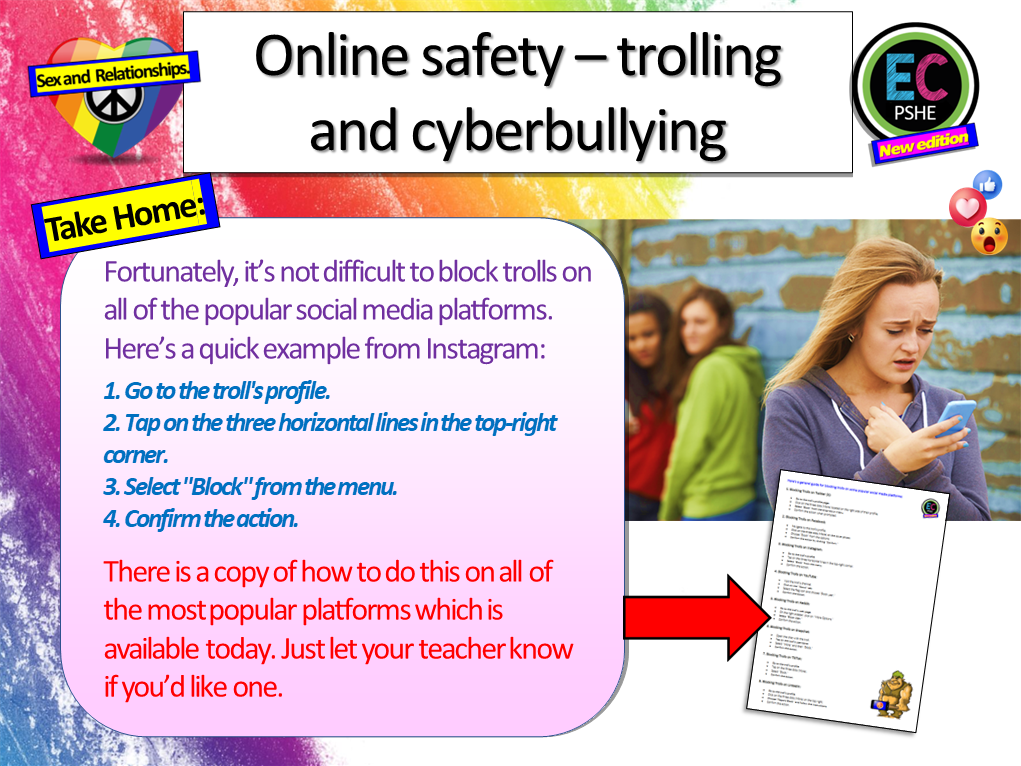 Cyber-bullying, Trolling and Online Safety – EC Publishing