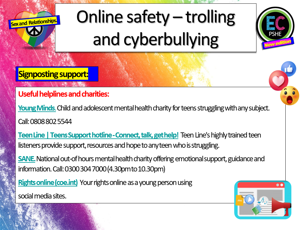 Cyber-bullying, Trolling and Online Safety – EC Publishing