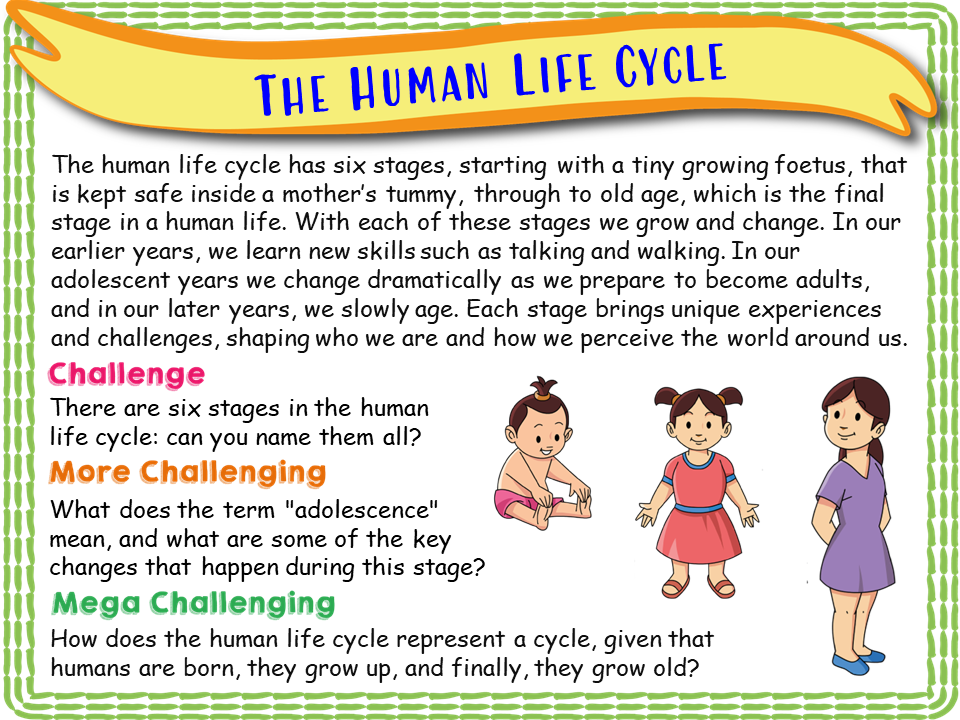 Girls' Puberty + Periods (Year 6) – EC Publishing