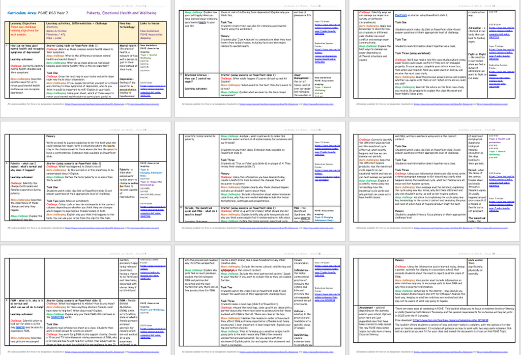 PSHE Planning for KS3 and KS4 – EC Publishing