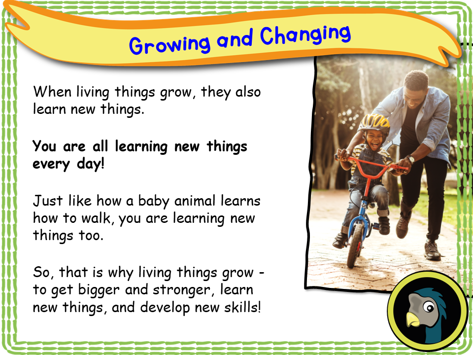 New! Growing and Changing - EYFS/Reception – EC Publishing