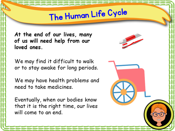 The Human Life Cycle - KS1/Year 2 – EC Publishing