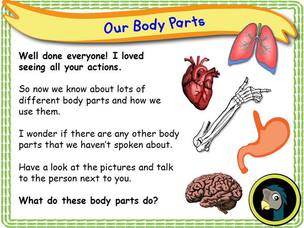 New! Naming Body Parts - EYFS/Reception – EC Publishing