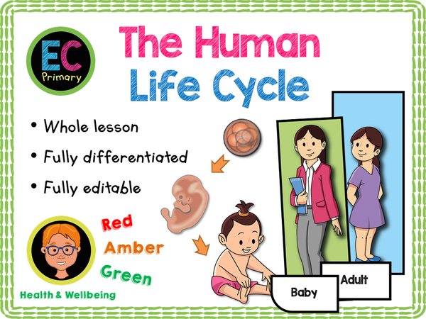 The Human Life Cycle - KS1/Year 2 – EC Publishing