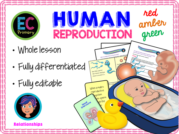 5 Year Complete Upper KS2 and KS3 PSHE + RSE – EC Publishing