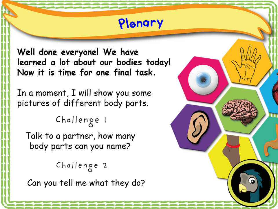 New! Naming Body Parts - EYFS/Reception – EC Publishing