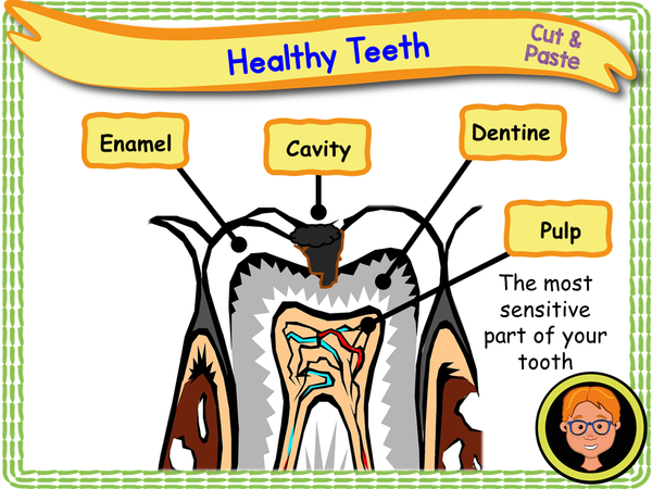 Looking After My Teeth - KS1/Year 2 – EC Publishing