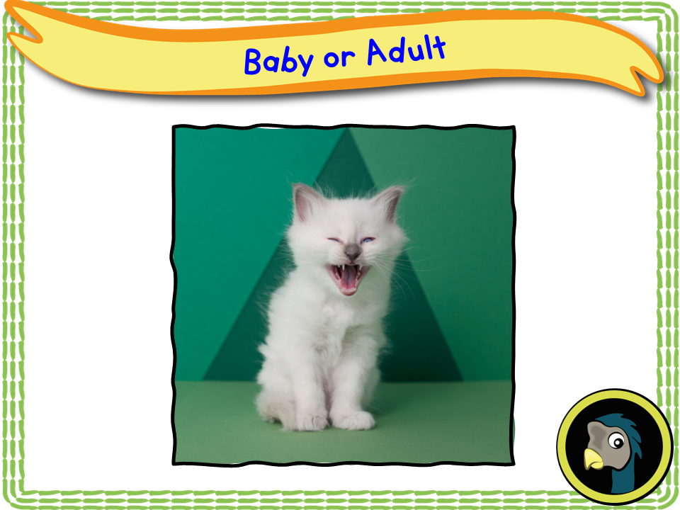 New! Growing and Changing - EYFS/Reception – EC Publishing