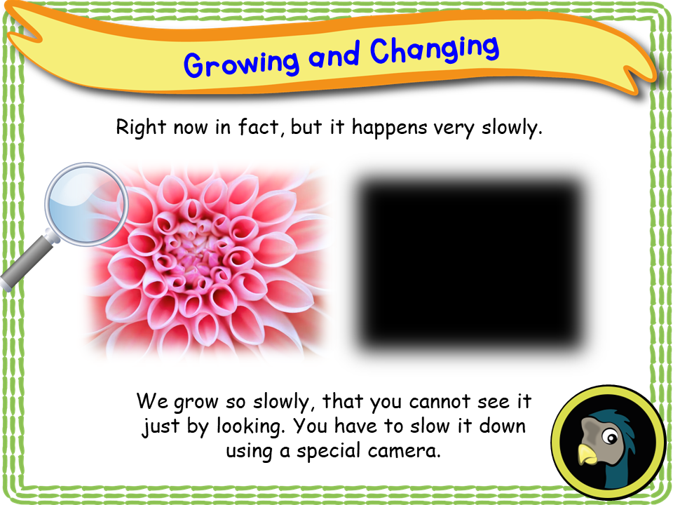 New! Growing and Changing - EYFS/Reception – EC Publishing