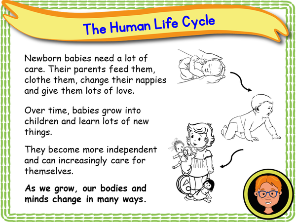 The Human Life Cycle - KS1/Year 2 – EC Publishing