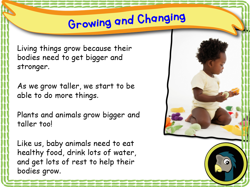 New! Growing and Changing - EYFS/Reception – EC Publishing